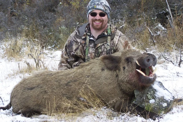 Boar - Gary Herbert's New Zealand Hunting